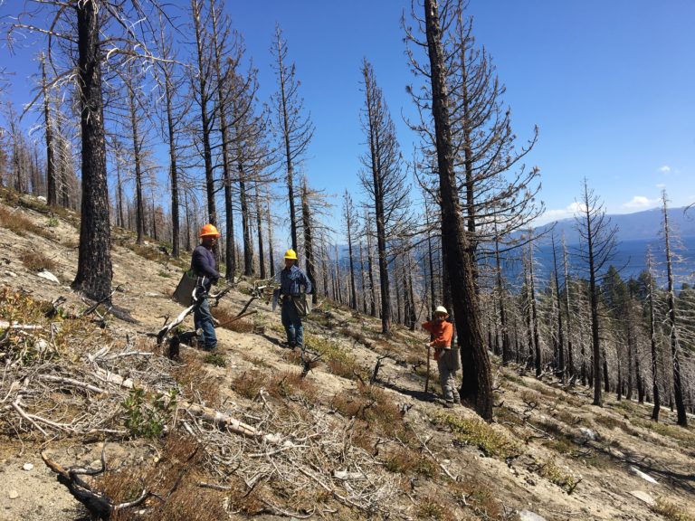 Emerald Fire Restoration - Tahoe Fund