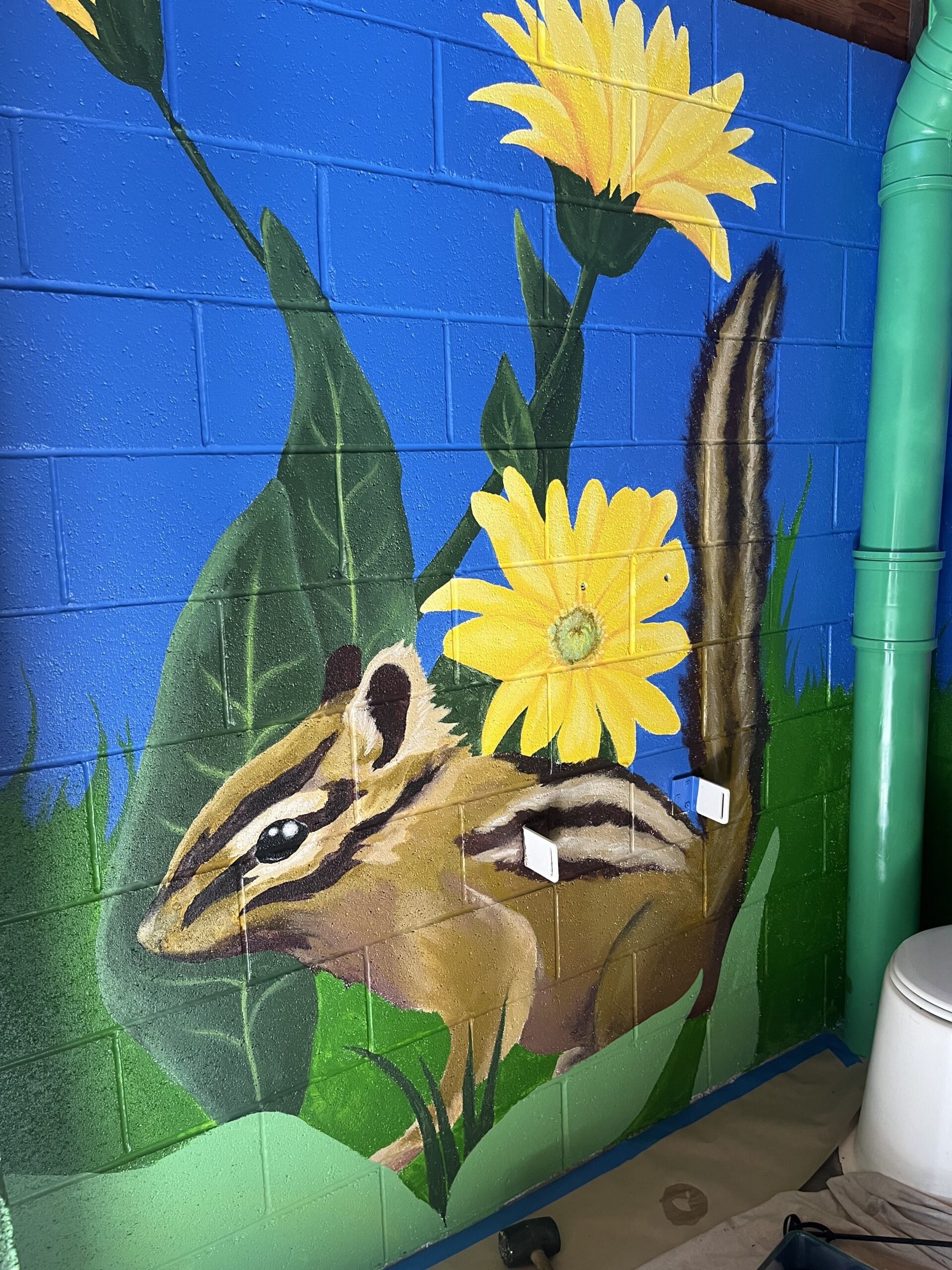 TAHOE FUND HIRES LOCAL ARTISTS TO TRANSFORM NATIONAL FOREST RESTROOMS ...