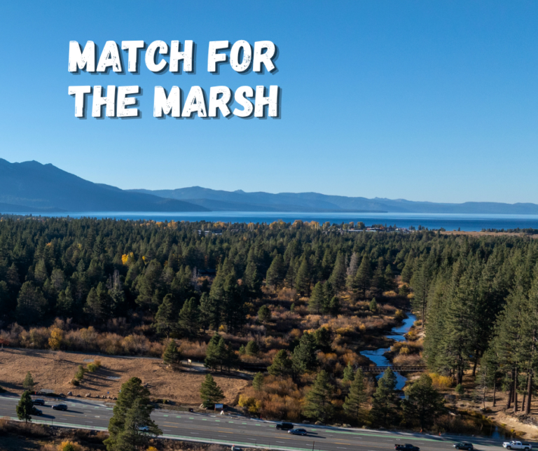 TAHOE FUND AND BARTON HEALTH LAUNCH $25,000 MATCH FOR THE MARSH ...